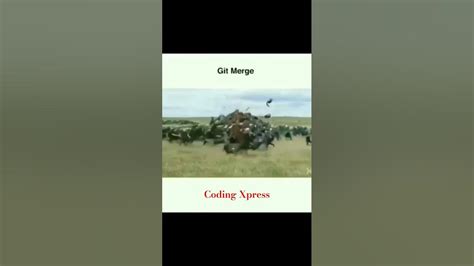 Git Merge Codingxpress Devloper Git Softwareengineering Engineering Code Funny
