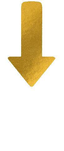 Animated Down Arrow  Png Eccellente Carlettacorujoq