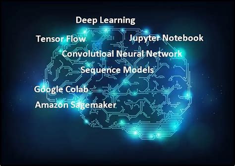 Do Transfer Learning Deep Learning Related Tasks By Aimahmood Fiverr