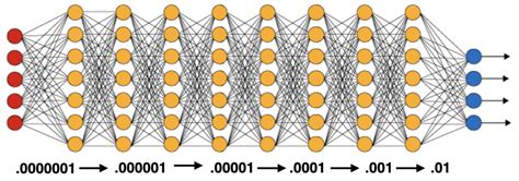 Layer Wise Learning Rate In Pytorch Nikita Kozodoi
