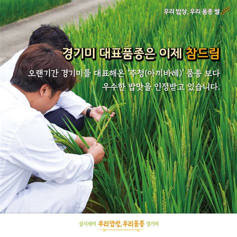 [우리 밥상 우리 품종] 참드림 100 제대로 활용하기