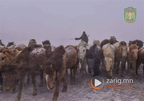 Хилчид шуурганд төөрсөн иргэнийг аварчээ