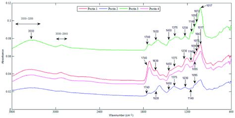 Ftir Spectra Of The Pectins Obtained From Jabuticaba Peel Flour Download Scientific Diagram