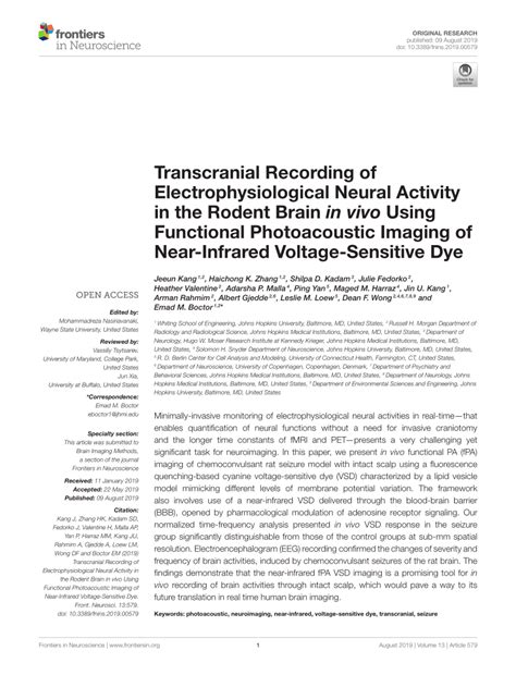 Pdf Transcranial Recording Of Electrophysiological Neural Activity In The Rodent Brain In Vivo