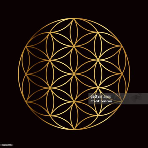 Sacred Geometry Seed Of Life