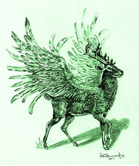 Peryton Myth And Folklore Wiki Fandom