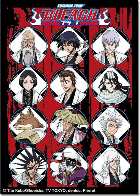 Bleach Captains Names Wallpaper