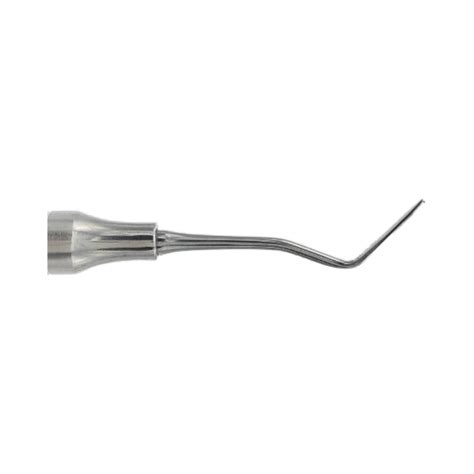 Hollenback Carver Carrot Hcp Canada