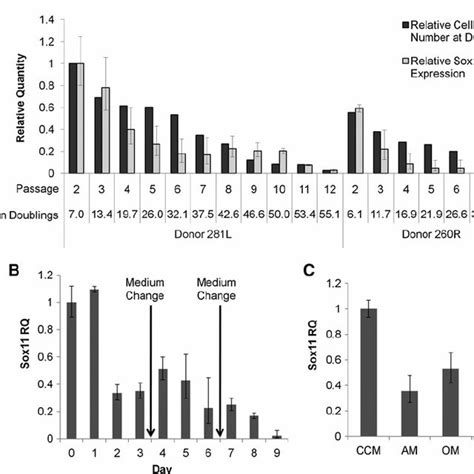 Real Time Reverse Transcriptase Polymerase Chain Reaction Assays For