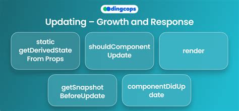 react lifecycle methods explained a beginner s guide 2024 codingcops