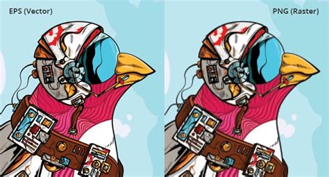 Формат Eps что такое где используется и как открыть файл Eps и редактировать — дизайнерс