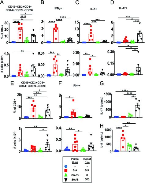 Bcfa Adjuvanted Vaccines Elicit Th17 Polarized Systemic T Cell Download Scientific Diagram