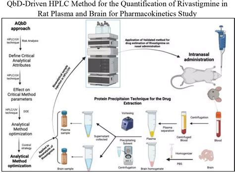 Qbd Driven Hplc Method For The Quantification Of Rivastigmine In Rat