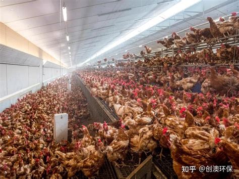 【创澳分享】农业生产会产生污染物，不予干涉就会导致农业环境污染。主要包括化肥、农药、畜禽粪便等污染物对土壤、水体和大气的污染‌！ 知乎