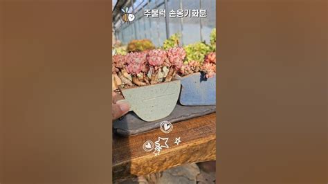 다육식물☘️다육 커피한잔블루에프메비나누다 Youtube