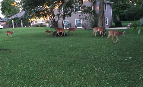 Laura Bratcher Laurabratcher Twitter