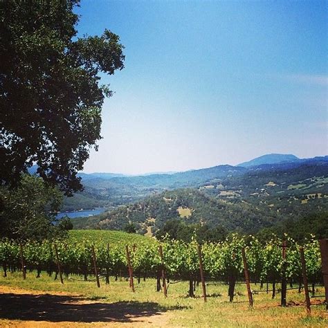 Gorgeous Views Of Chappellet Winery In Napa Valley