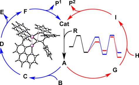 Computational Catalysis For Organic Synthesis