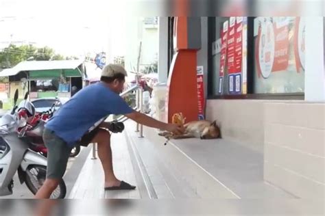 盘点那些不干人事的人类人事盘点