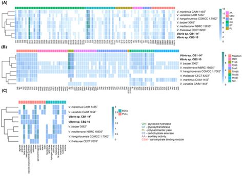 Microorganisms An Open Access Journal From Mdpi