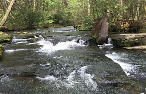 Pennsylvania Formally Designates More Wild Trout Streams Trout Unlimited