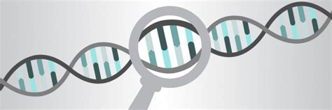 Cracking The Genetic Code Genomics Education Programme