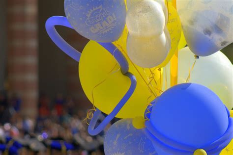154365 Blue And Yellow Balloon Bouquet Ucla Graduation Los Angeles California Usa