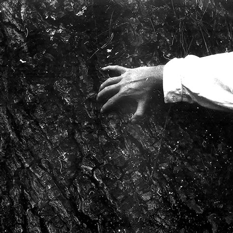 LÉden Sensible De Marie Le Moigne Artshebdomédias