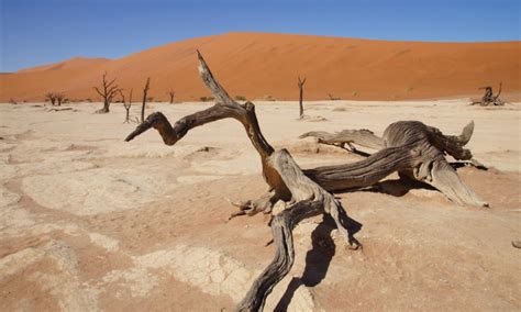Hidden Vlei Namibia Quiet Desert Walk Near Sossusvlei