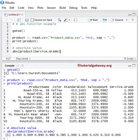 R Abs Function
