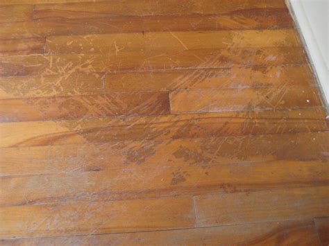 Shellac Concrete Floor Clsa Flooring Guide