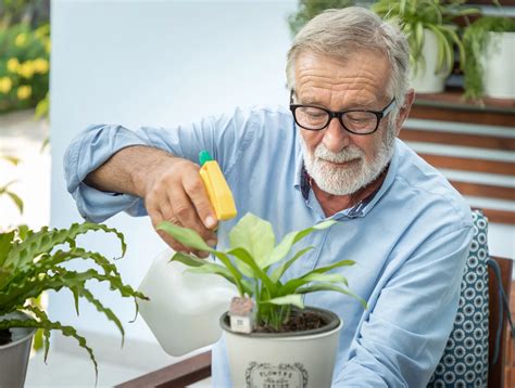 Your Guide To Urostomy What Is It What Causes It And What Is The