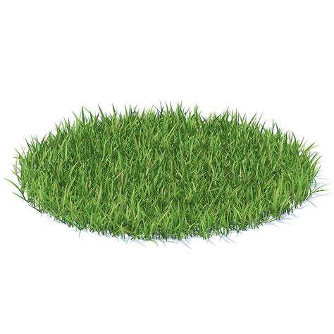 3d Model Shaped Grass Turbosquid 1228563