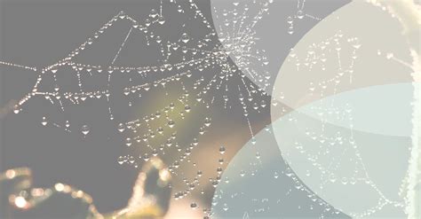 Implementing Secure User Authentication In Python Web Applications Web Dev Byte