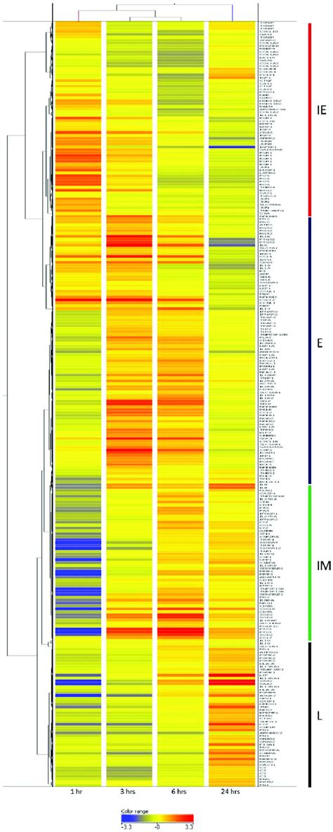 Hierarchical Clustering Of Temporal Expression Of Known And Predicted Download Scientific