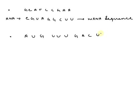 Using The Mrna Codons Below What Is The Trna Anticodon Sequence Mrna Codons Aga Gac Ugc