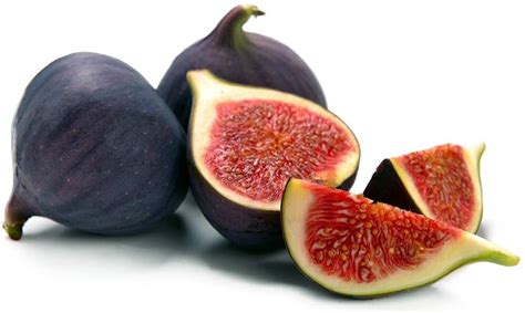 Problems With Fig Trees Common Fig Tree Diseases Florida Plants Nursery