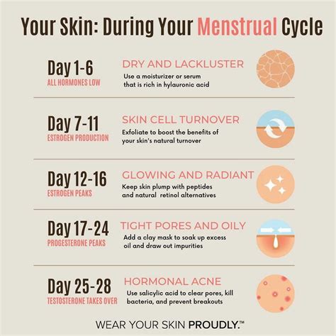 Menstrual Health Understanding Your Hormone Balance Artofit