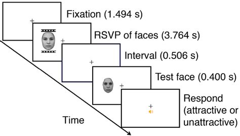 Example Trial Sequence From The Rsvp Adaptation Condition The