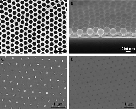A Sem Image Of An Au Nanohole Array Templated From A Monolayer Ncp