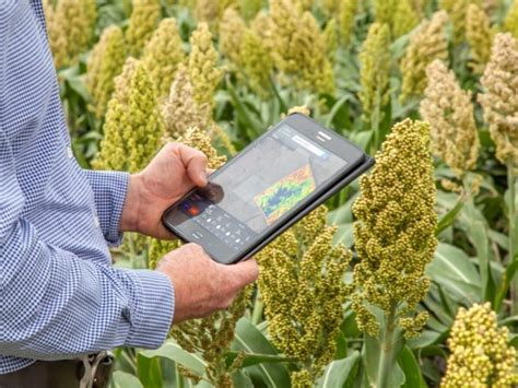 Smartsat Crc Aims For Agricultural Satellite Observation Capability Australian Manufacturing Forum