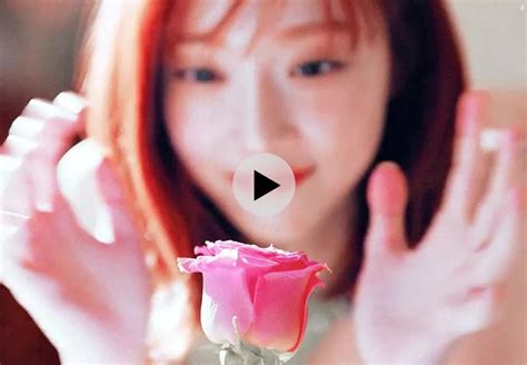 내일은 메이플스토리 에펨코리아