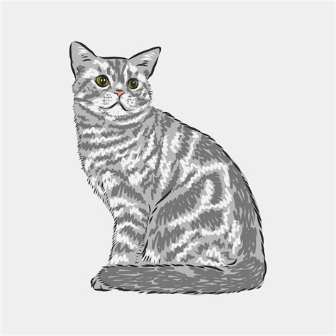 고양이 그림 Png 벡터 Freepik에서 무료 고품질 벡터를 다운로드하세요 Freepik