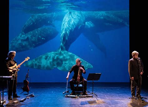 Privas Le Retour De Moby Dick” Par Locéanographe François Sarano Le Samedi 2 Décembre