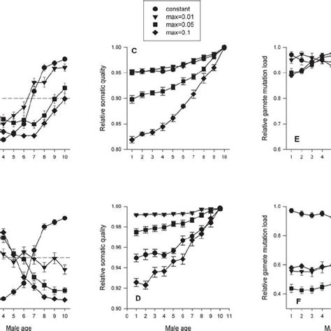 Effect Of Female Preference On Male Gamete Mutation Load Across All Age