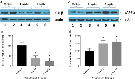 Gm6 Lowers And Increases Brain Ctfβ And Saβppα Respectively A Gm6