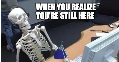 Top 15 Work Anniversary Memes To Send Your Colleagues We Test