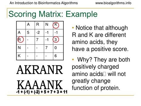 PPT Sequence Alignment Techniques For Global Alignment PowerPoint Presentation ID