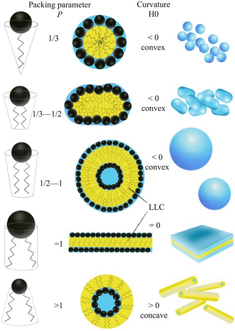 Assembly Properties Of Amphiphilic Molecules According To Their