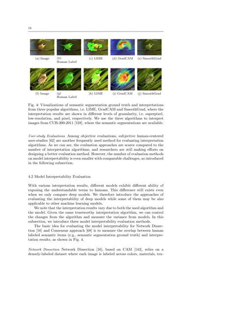interpretable deep learning interpretations interpretability